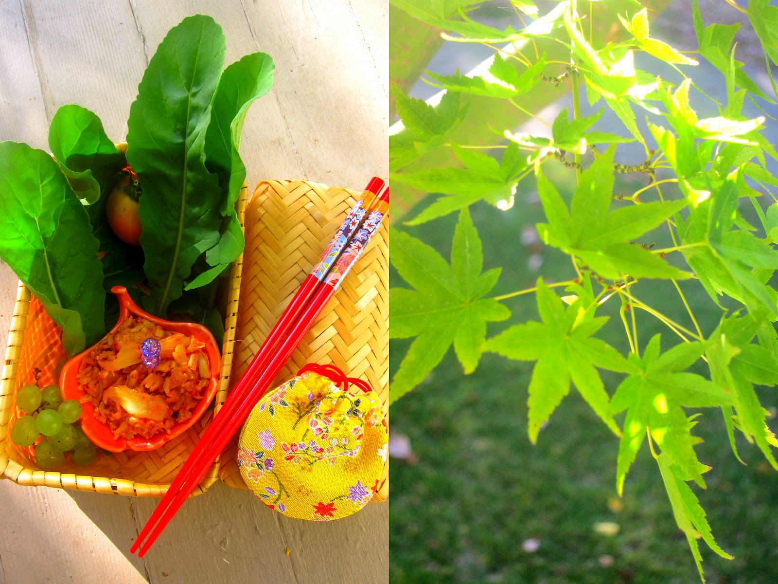 Bentobird: kimchi brown rice bento