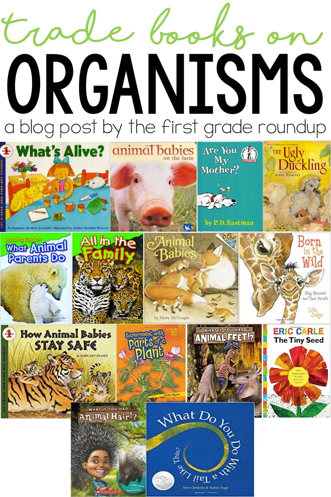 Organisms 1st grade science activities with plants and animals - The ...
