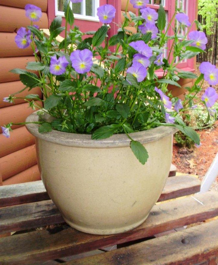 Log Cabin Antiques & Gifts: Gorgeous yellow ware pottery planter