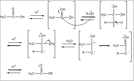 ASAM KARBOKSILAT DAN ESTER ~ PEMBELAJARAN KIMIA