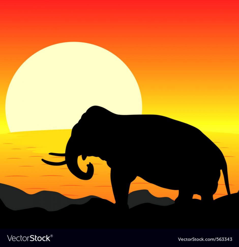 African Sunset Elephant Wallpaper