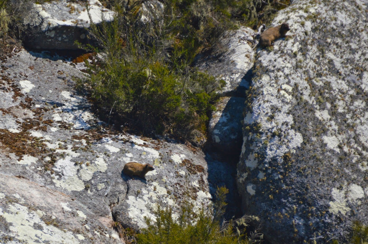 Mulanje Mountain Trek: Climbing Mount Sapitwa