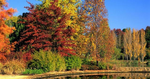 Wellness Ayurveda: Health Care in Sharad Ritu (Autumn)