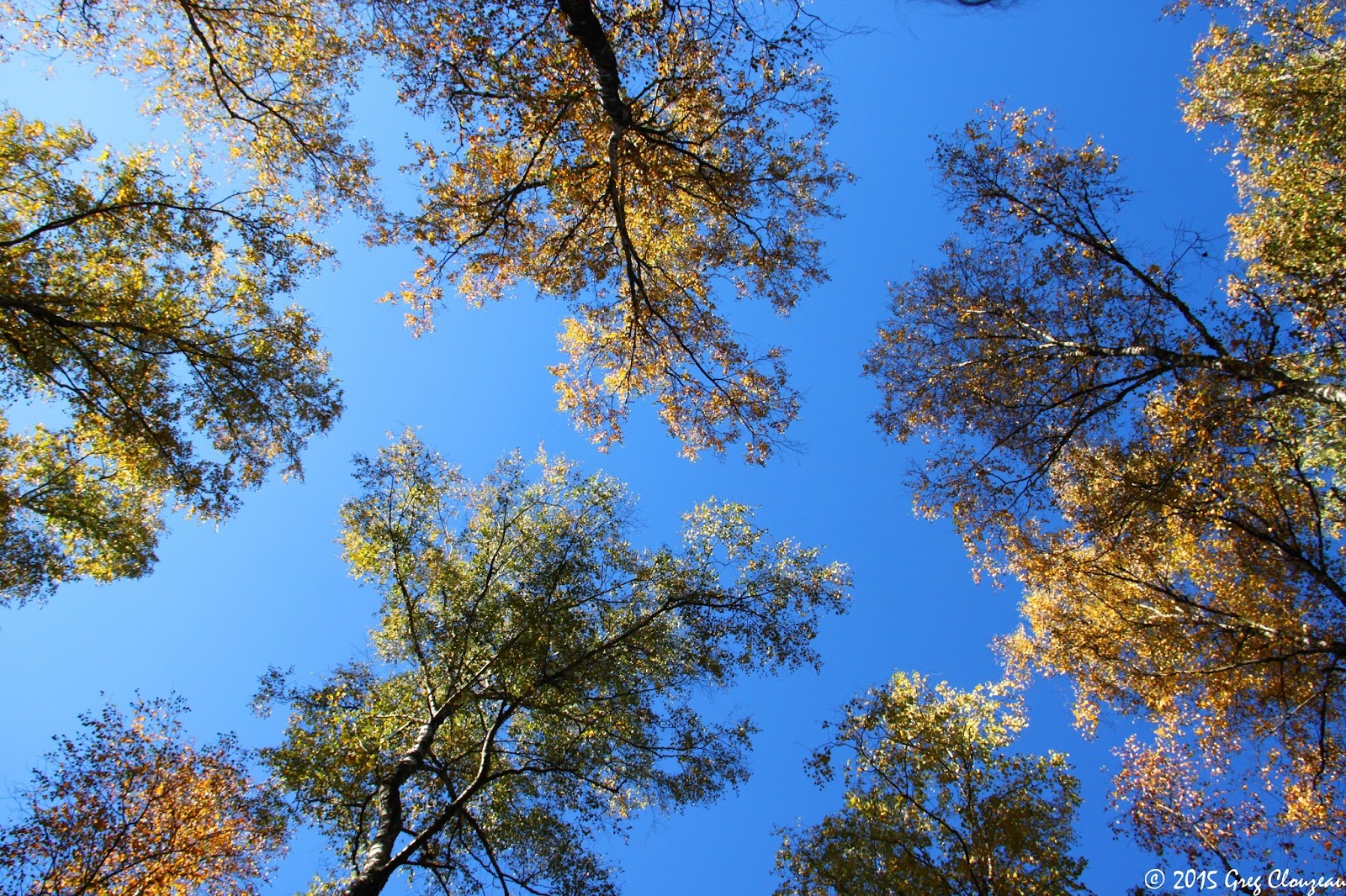 Ciel d'automne ~ FontaineBleau Passion