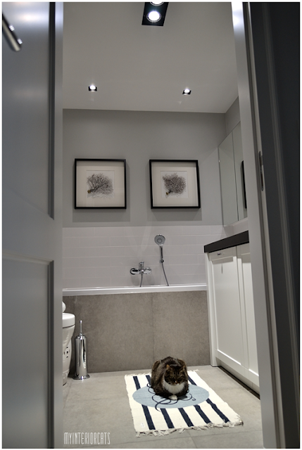 My Cats & Interior Ideas