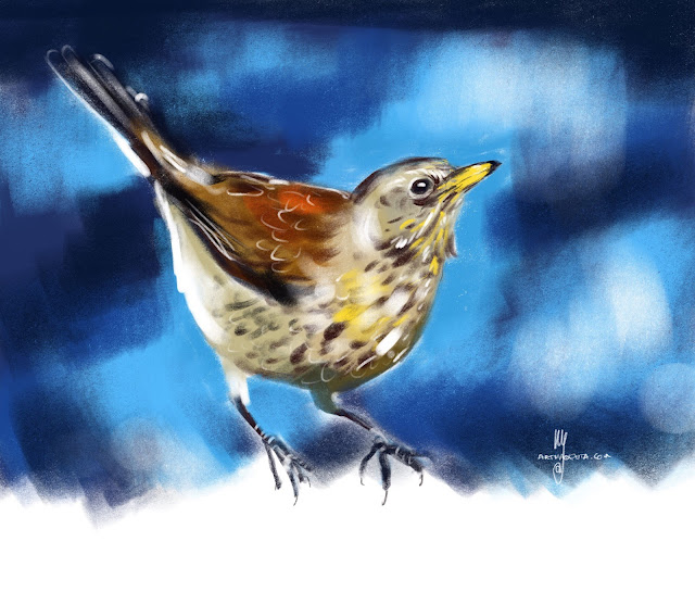 Birds: Fieldfare