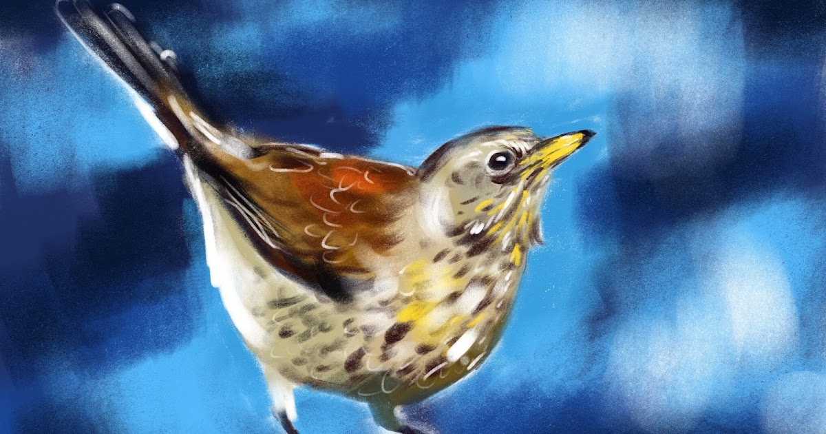 Birds: Fieldfare