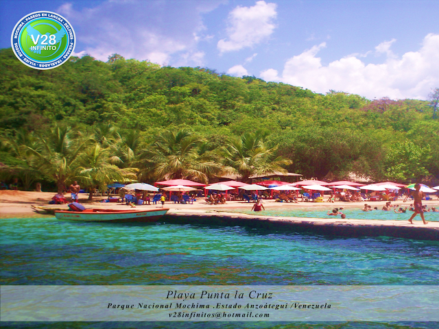 Playa punta la cruz Mochima