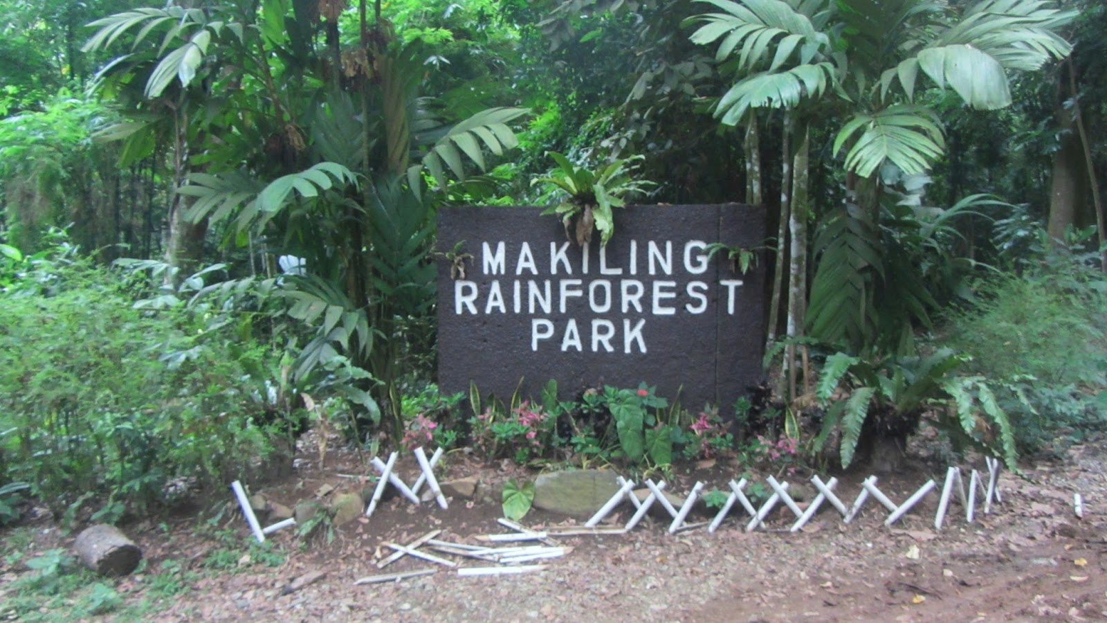 Crimson's Travel Report: Mt. Makiling: with side trip to Dampalit Falls