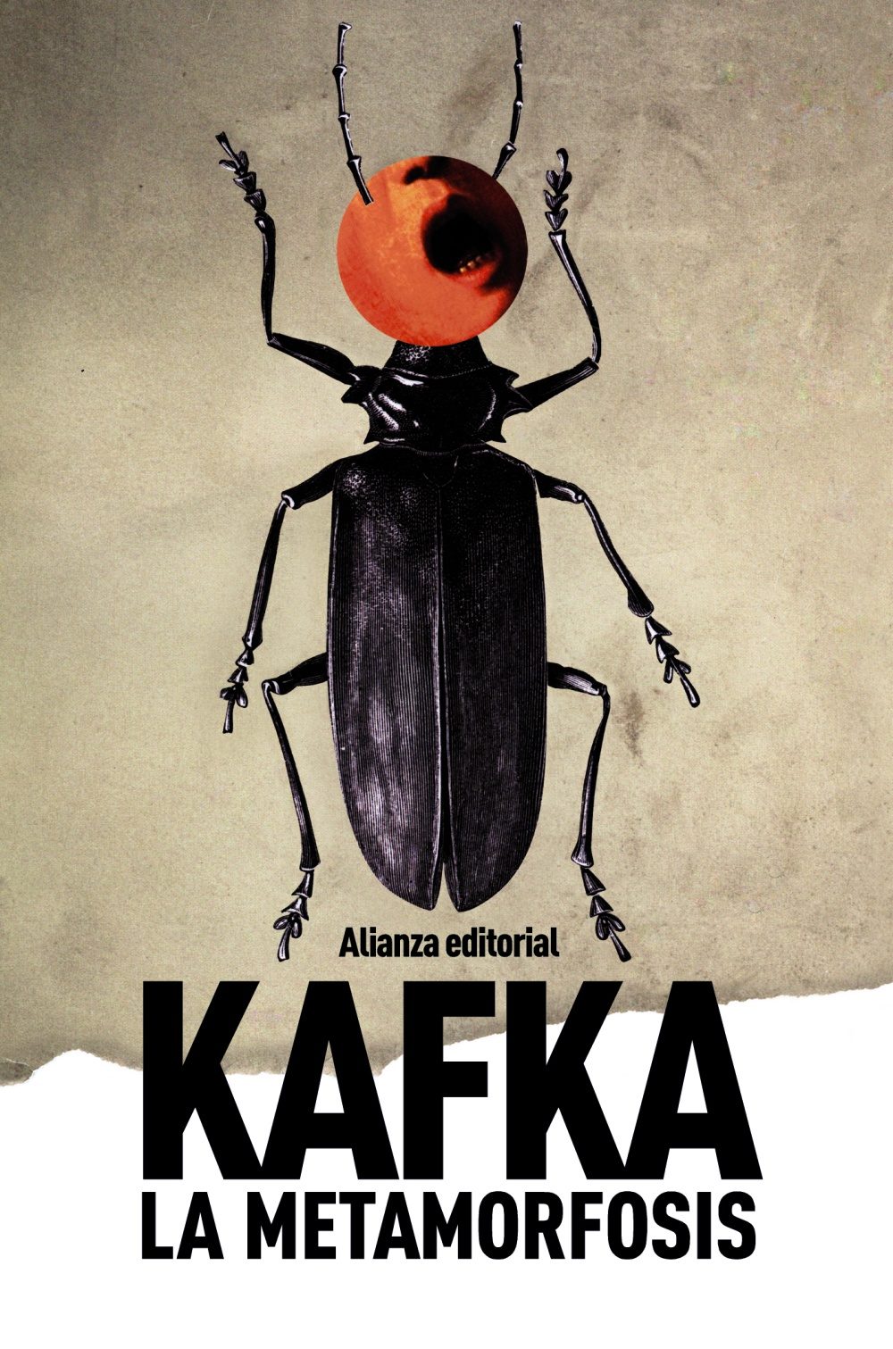 Entre Películas Y Letras La Metamorfosis Franz Kafka