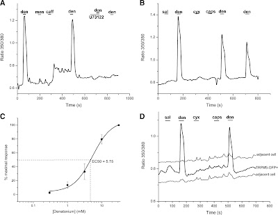 The Hypoxic Drive: Graphical Representations of Hypoxic Drive