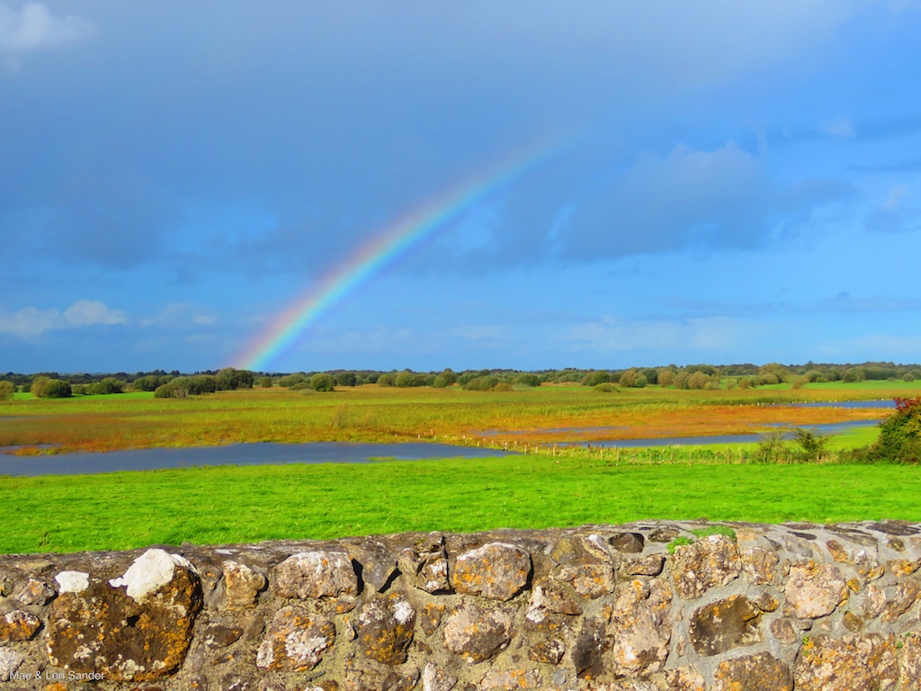 Mae s Food Blog Best Irish Rainbow Of The Day mae-s-food-blog-best-irish-rainbow-of-the-day