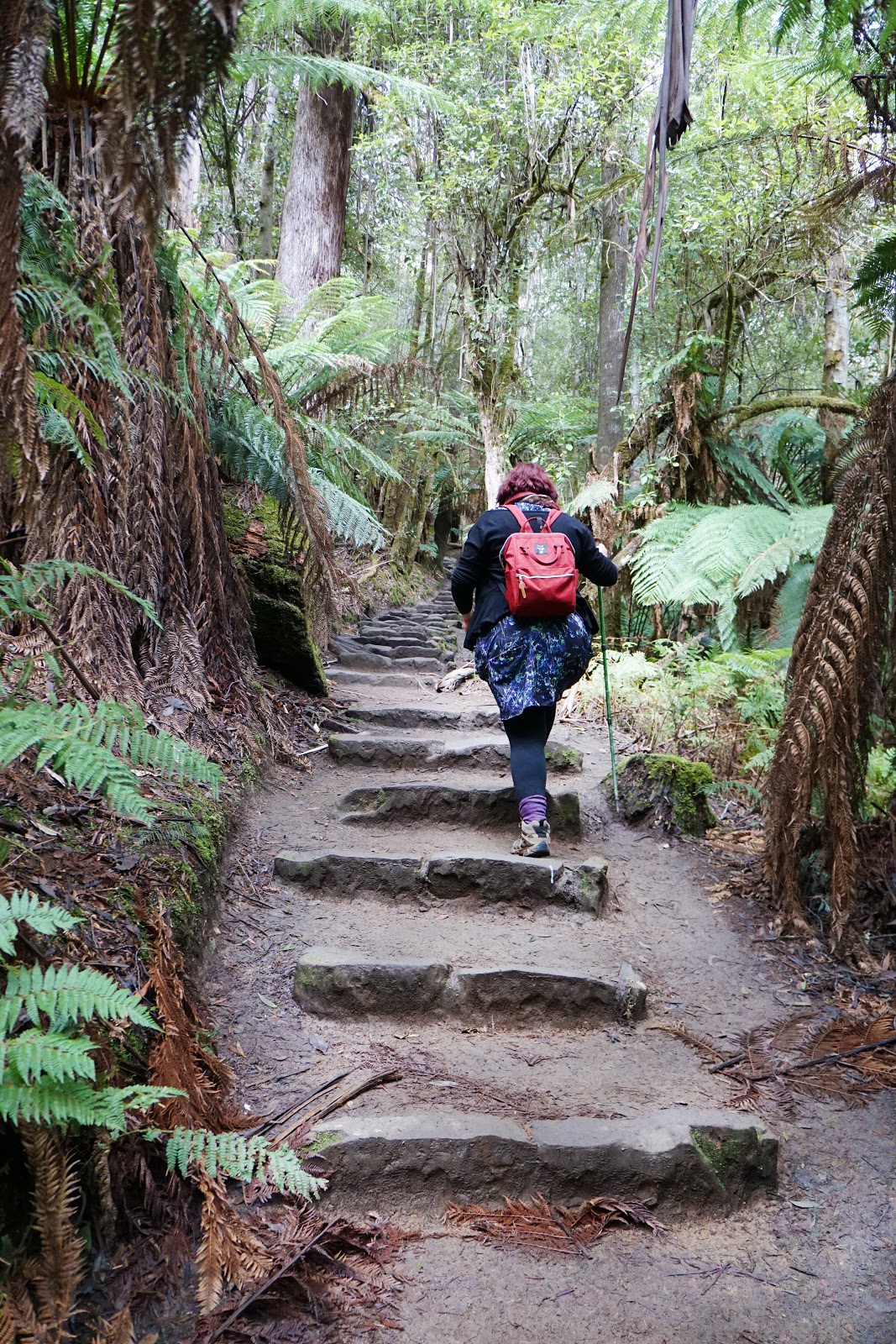 Lady Barron Falls Circuit (Mount Field National Park) ~ The Long Way's ...