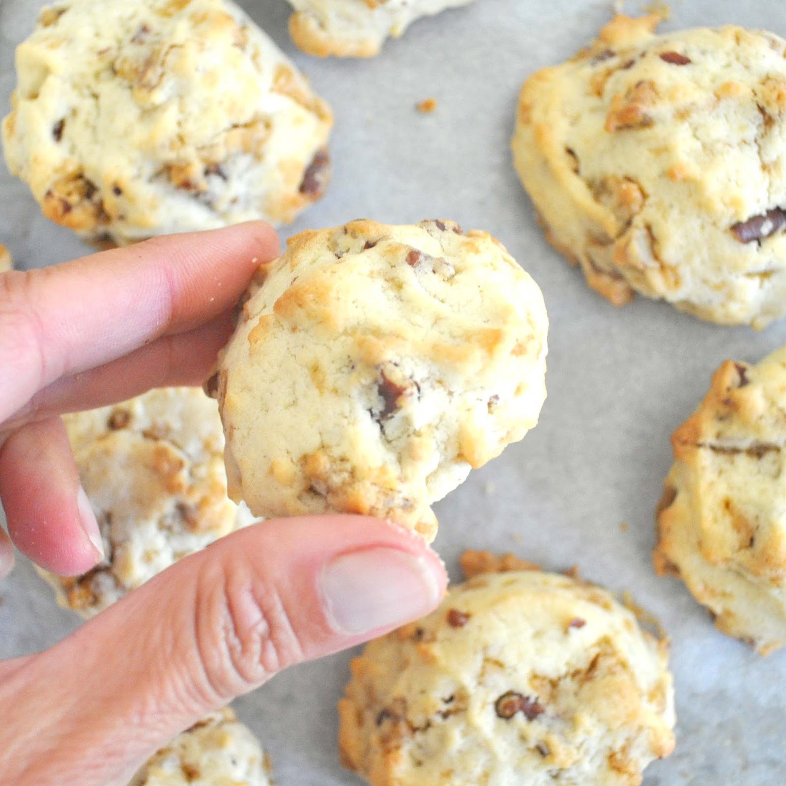Praline Pecan Cookies - Word of Recipes