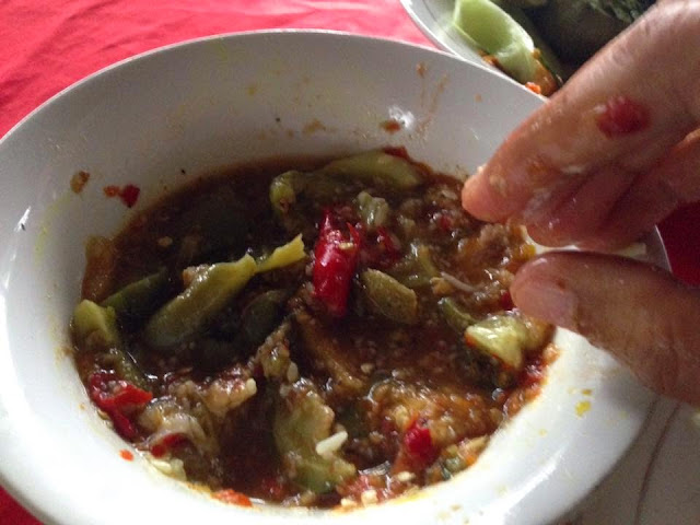 SERUIT LAMPUNG ; TRADISI DAHULU DAN KONDISI MASA KINI. ~ DUNIAINDRA