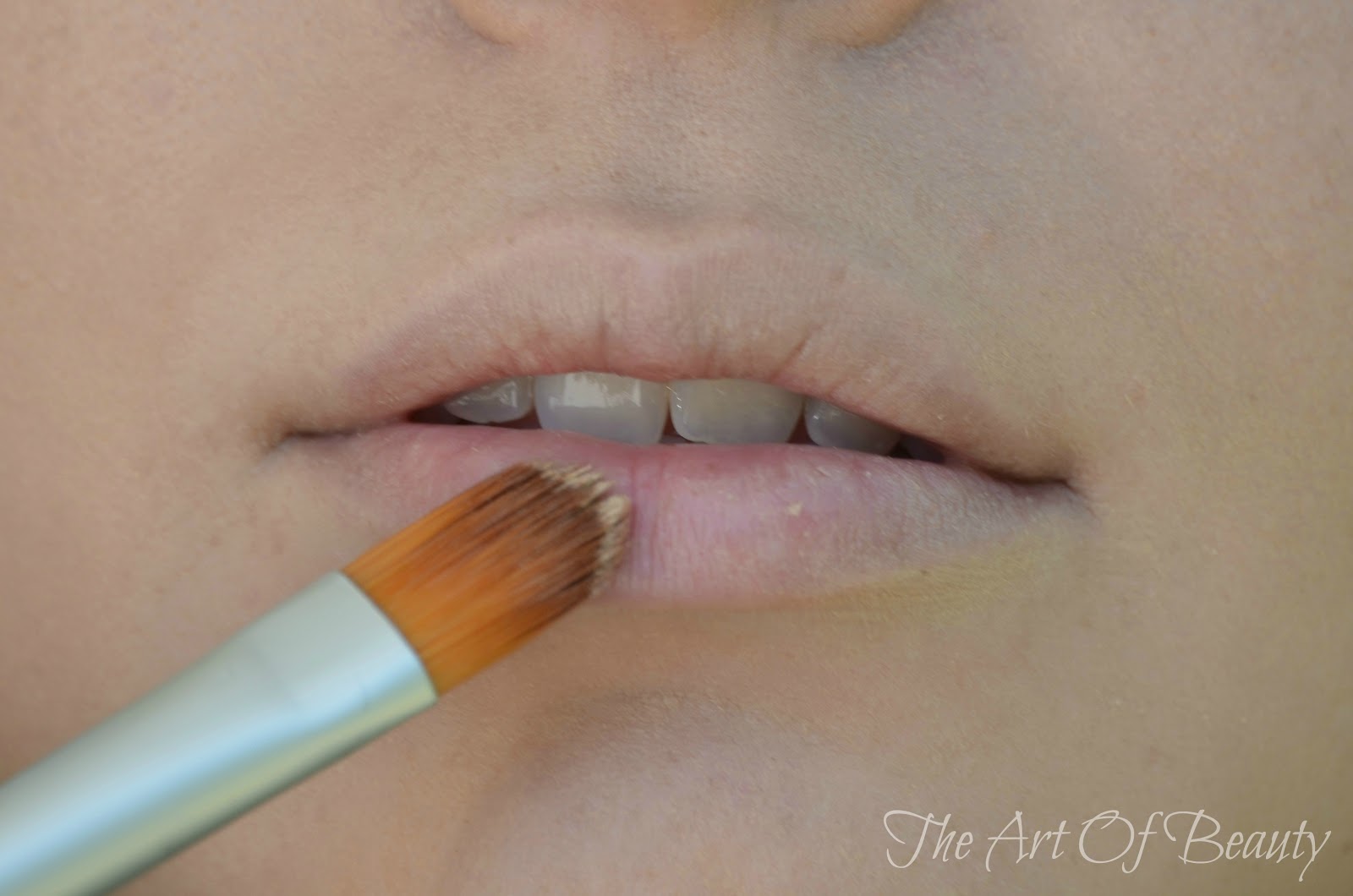 The Art Of Beauty: Baby Doll Lip
