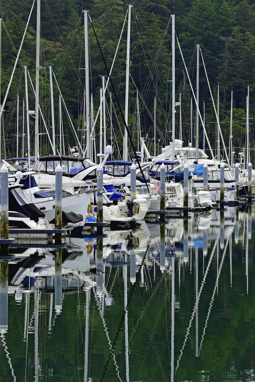 mairsphotographics: Marina Reflections