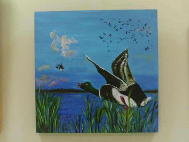 MEDITERRANEO: EL PATO (COLL VERD) DE LA ALBUFERA, OLEO