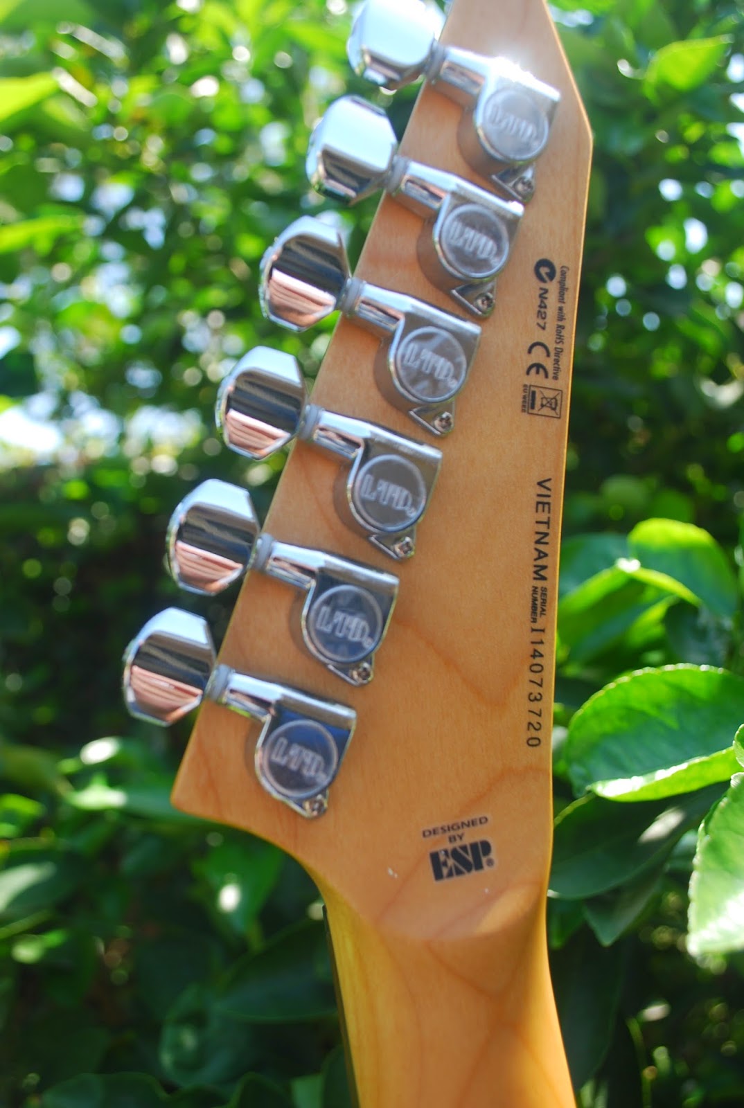 Rex and the Bass: 2014 ESP LTD M-10 Electric Guitar Review