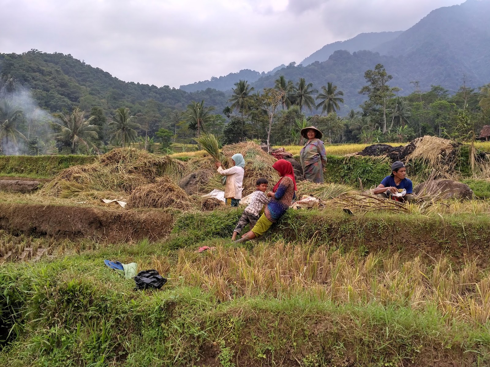 WISATA GUNUNG CANGGAH ~ Wisata Desa Cimanggu