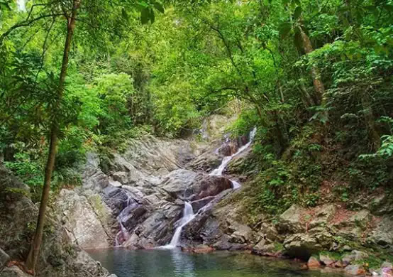 Guide to Philippine Outdoor Destinations: The Captivating Paadjao Falls ...