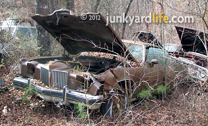 Junkyard Life: Classic Cars, Muscle Cars, Barn finds, Hot rods and part ...