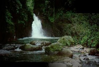 Menelusuri Taman Nasional Manusela Maluku - PLH Indonesia