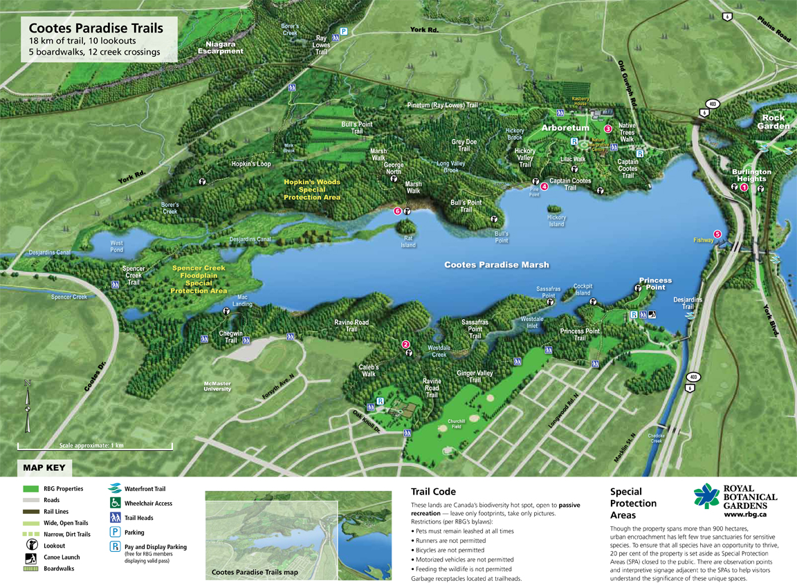Cootes Paradise - Alchetron, The Free Social Encyclopedia
