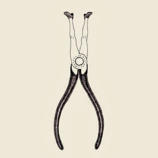 Portugal Rebelde: PERNAS DE ALICATE LANÇAM EDIÇÃO FÍSICA