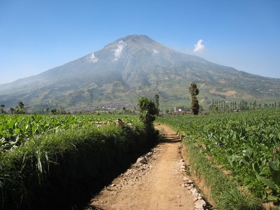 info gunung dan pendakian