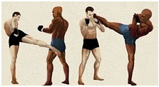 Blog do Muay Thai: Chutes Low Kick e High Kick