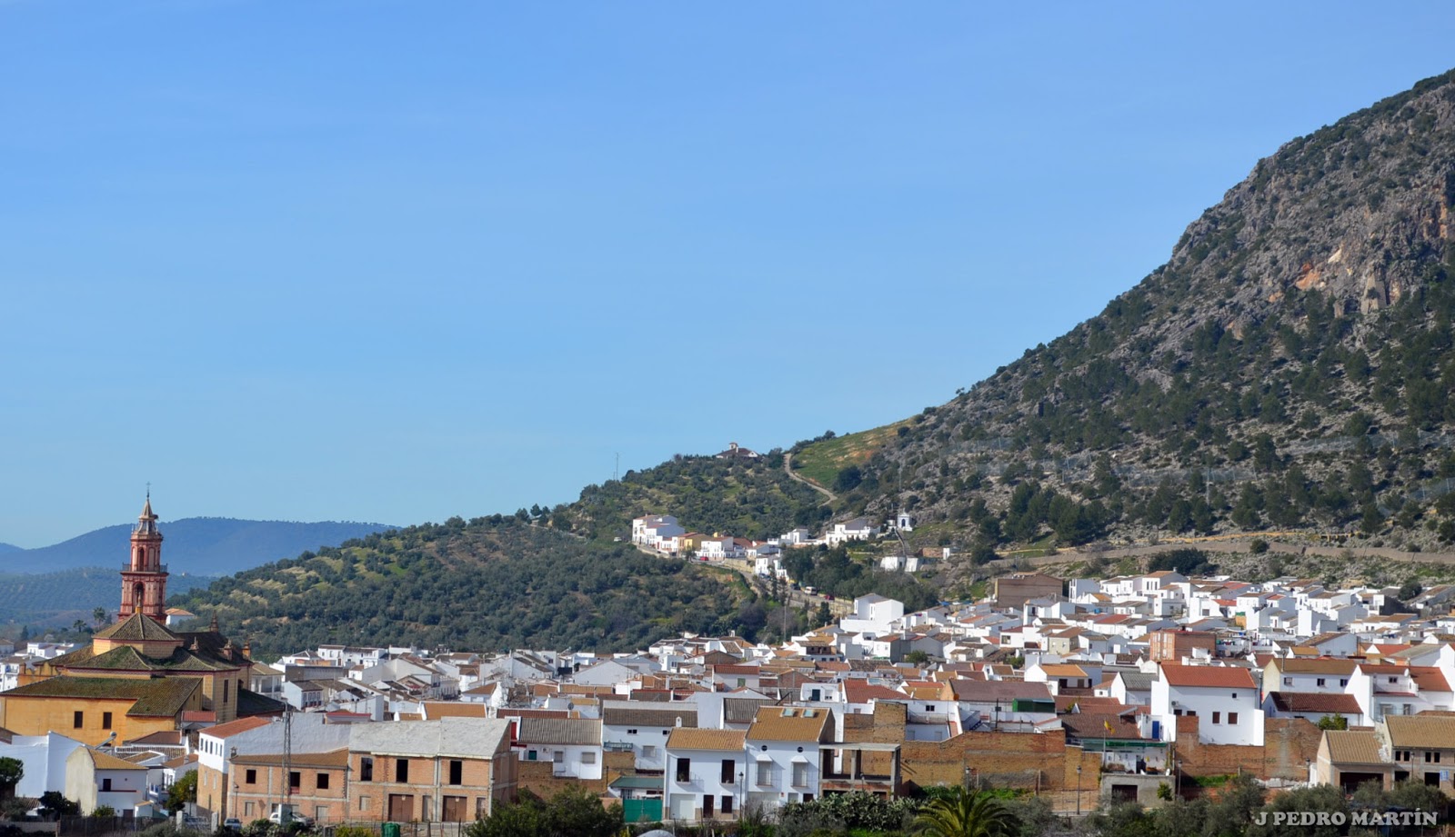 ALGODONALES - J PEDRO MARTÍN