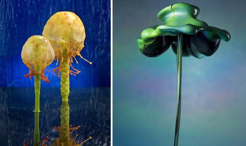 Simply Creative: Liquid Flowers by Jack Long