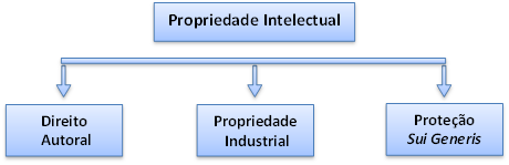 PROPRIEDADE INTELECTUAL E INOVAÇÃO: Propriedade Intelectual