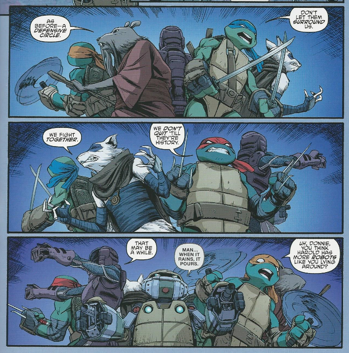 TMNT Entity: TMNT (IDW) #48