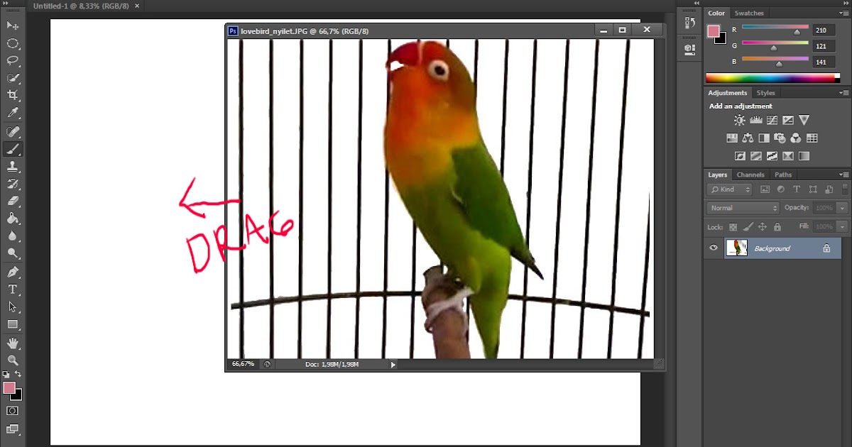 41+ Gambar Burung Lovebird Robot, Trend Masa Kini!