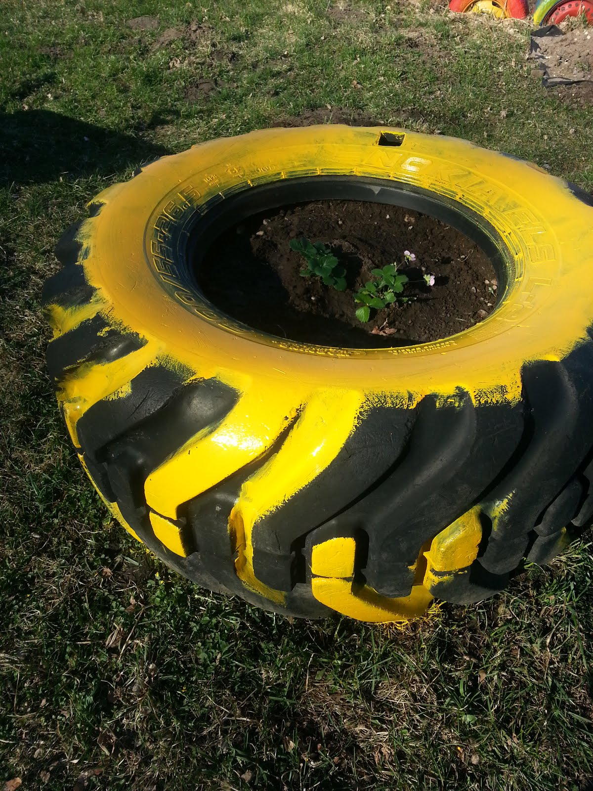 Maakad linnast - Meie uus algus: DIY - Amplimaasika peenar