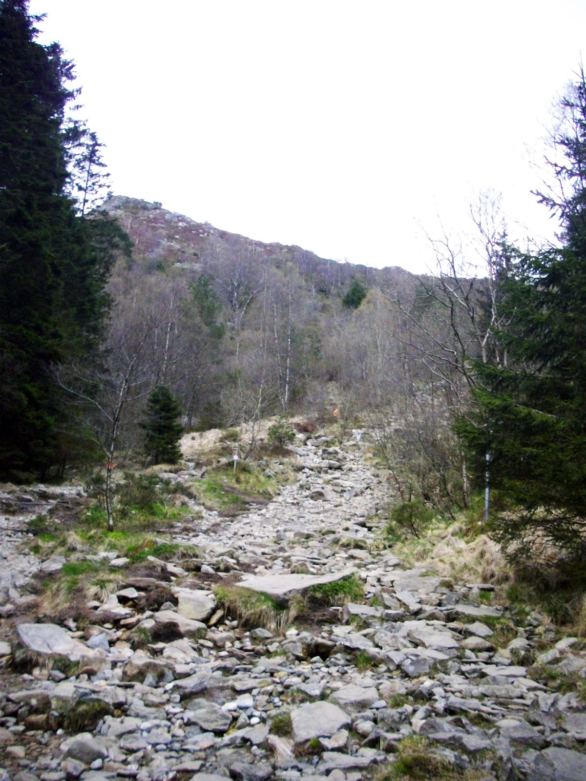irgum-Bergen