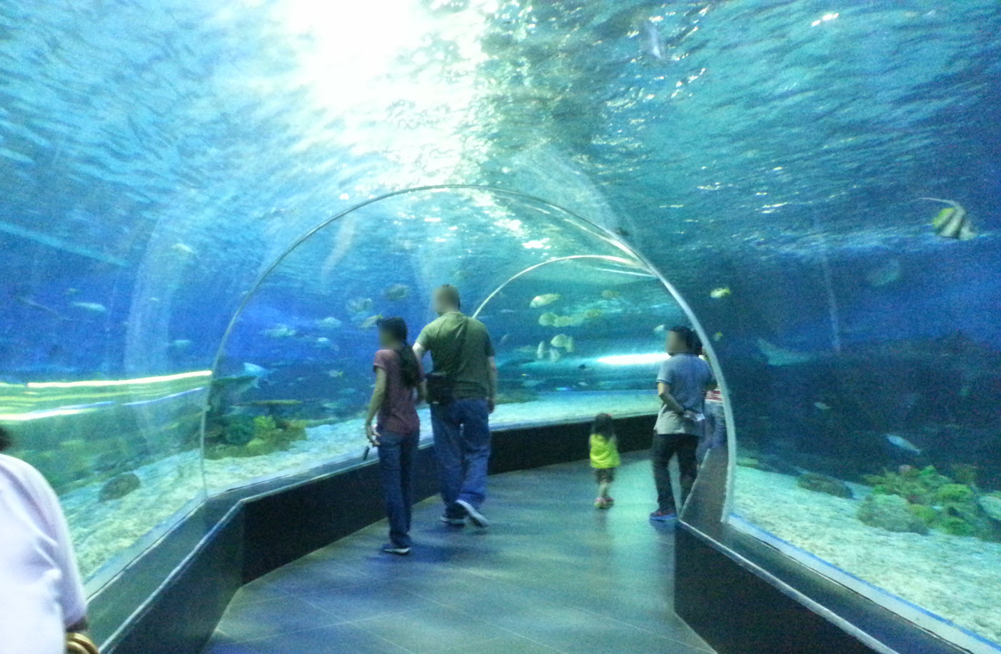 Manila Ocean Park Philippines | Tropical Mom's Day Off