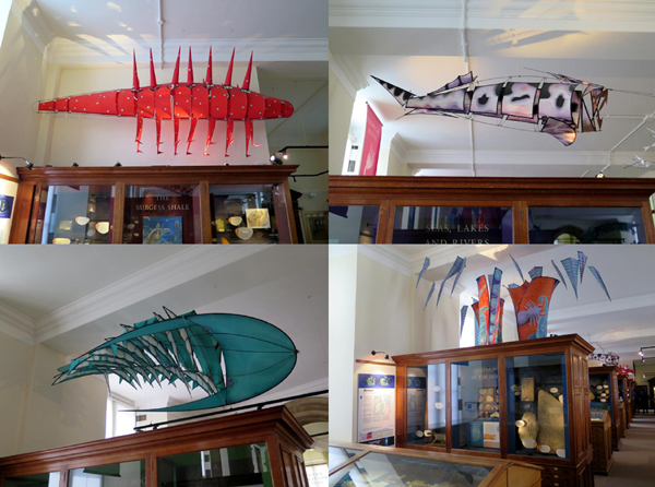 The Language of Stone: The Sedgwick Museum