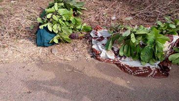 Photos: Accident along Isua Akoko-Ibillo Expressway, Ondo State