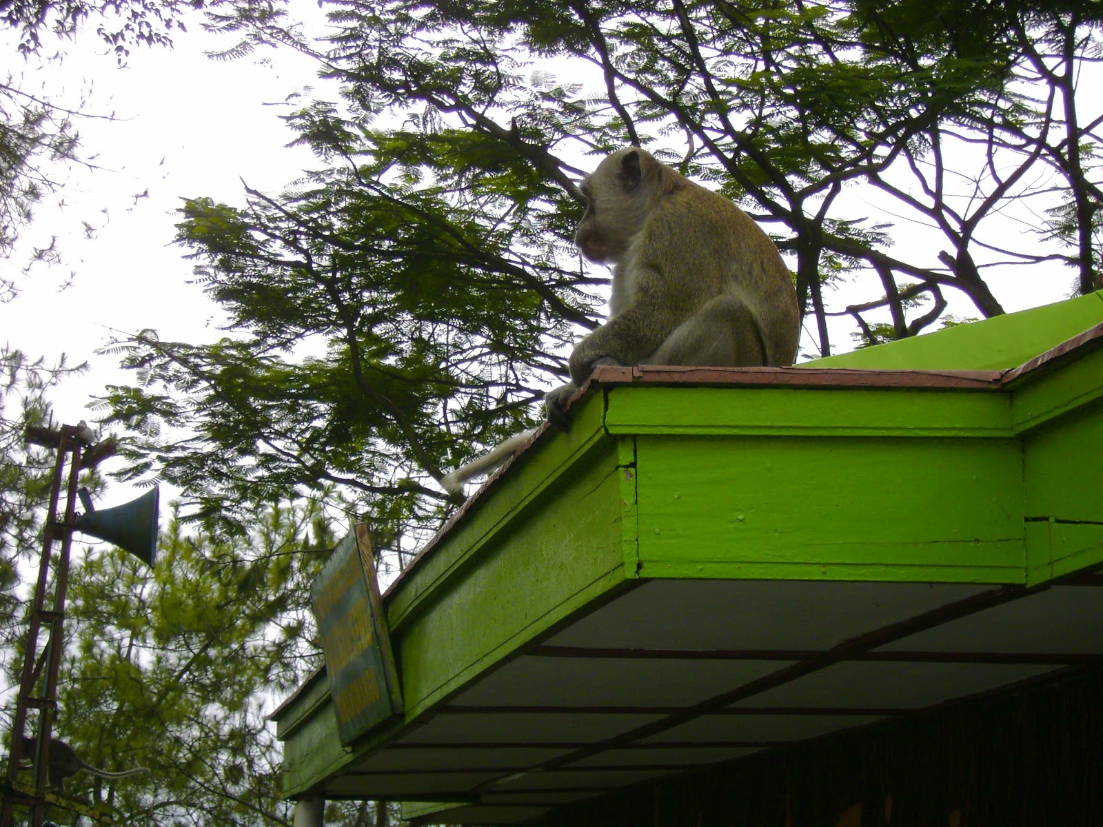 Grojogan Sewu Waterfalls, Tawangmangu | It's a Benvie World