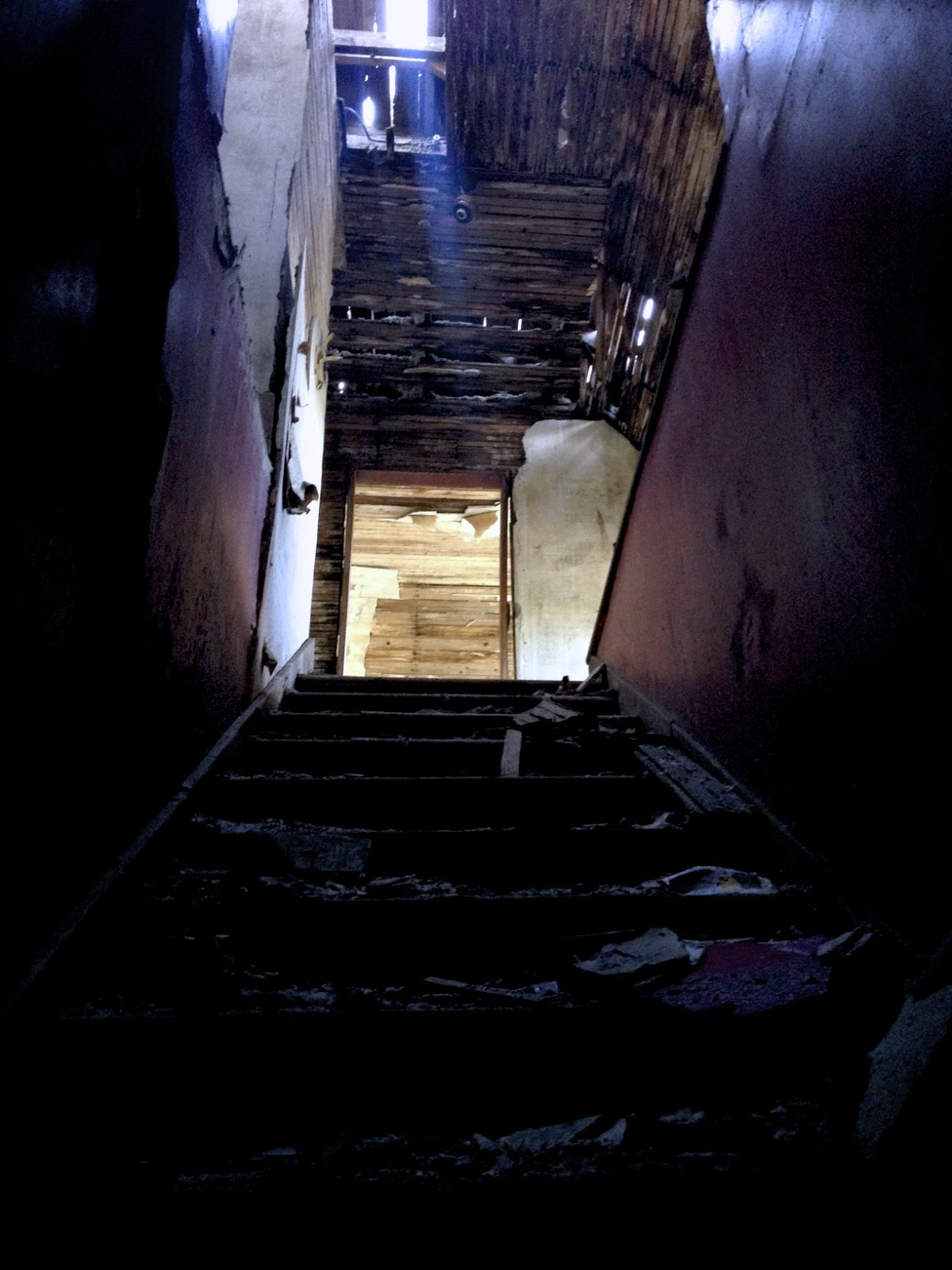 Develop from the Negatives