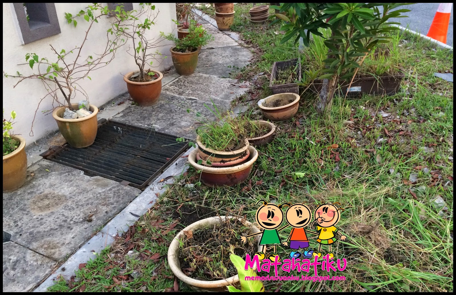 ~ Blog Diari Famili Kami ~: Pasu Bunga