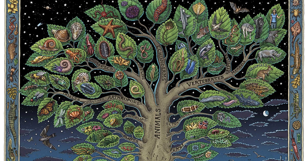 Tree of Life Meaning | Symbolism, Religion, Mythology: Tree of Life ...