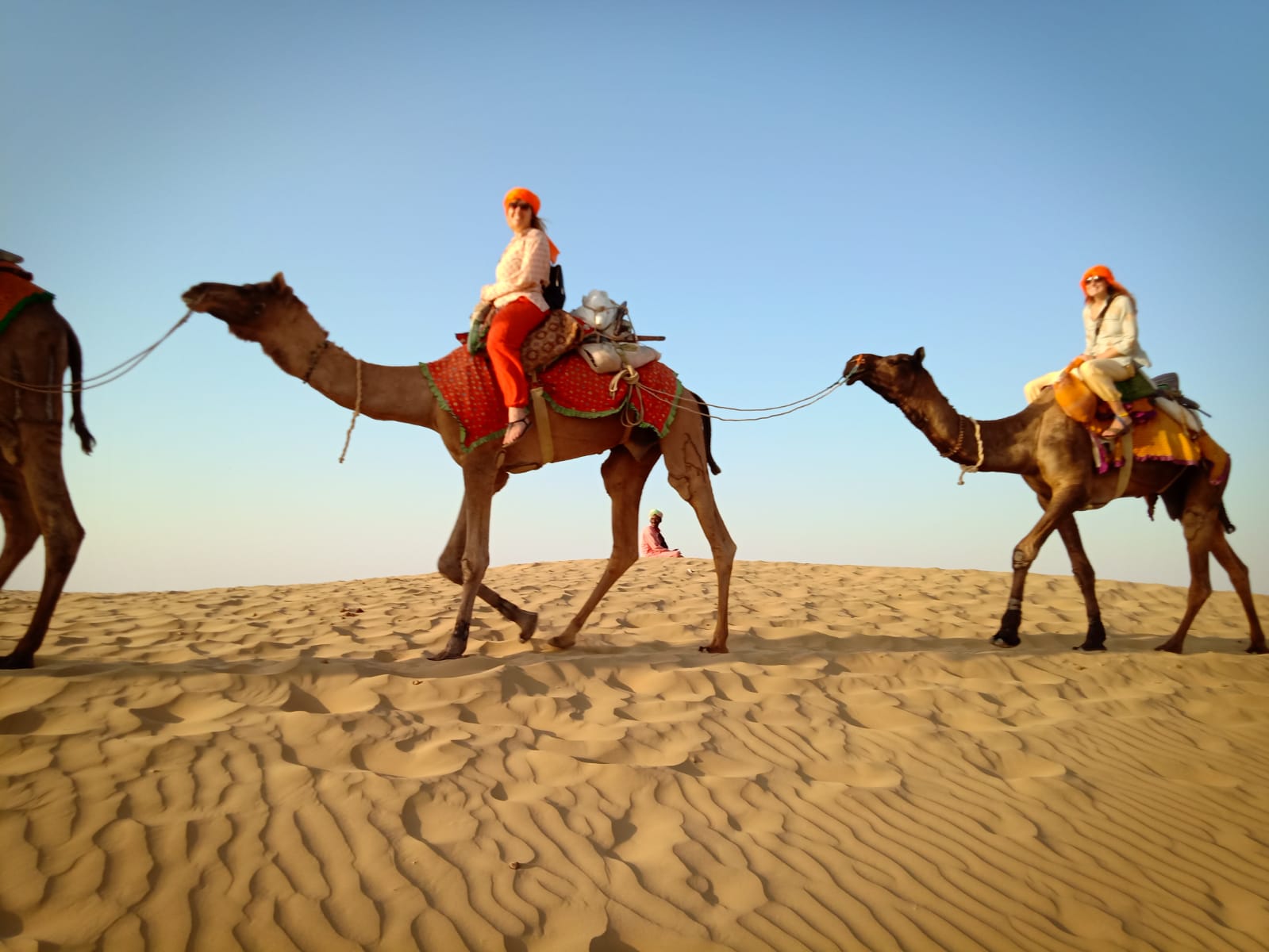 Traveling By Camel