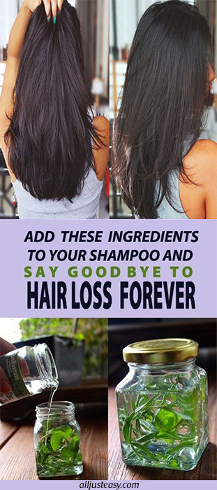 Add These Two Ingredients in Your Shampoo to Prevent Hair Loss - Daily ...