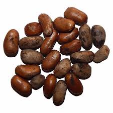 Alternative health tips, healthy lifestyle choices: Uses Of African Nutmeg.