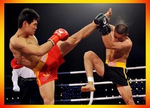 Martial Arts - San Shou - Best Martial Art