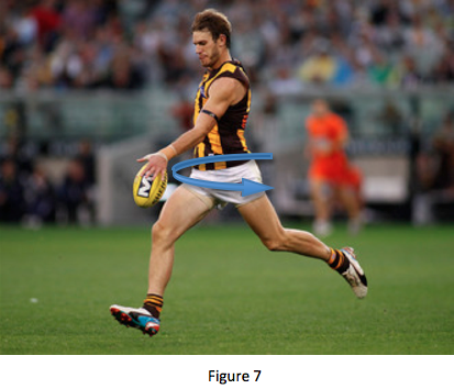 What biomechanical principles affect the distance achieved in an AFL ...
